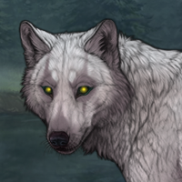 Flower Patches |:| Wolvden