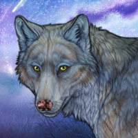 wintershine |:| Wolvden