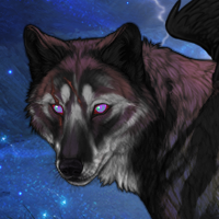 𝕷𝖚𝖓𝖆♡°-_»☾ |:| Wolvden