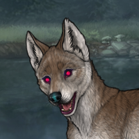 Family of T2 Denim 2m G3 Zerdava |:| Wolvden