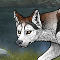 Flower Patches |:| Wolvden