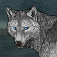 specialkayy ☆ |:| Wolvden