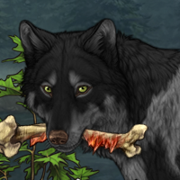 🌈Rayne🌦Storm⚡️ |:| Wolvden