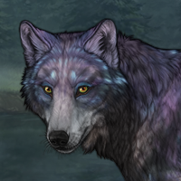 Family of x |:| Wolvden