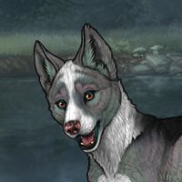 Nightfallers |:| Wolvden