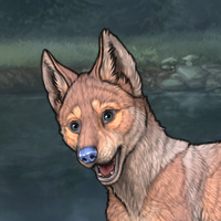 Family of R&C |:| Wolvden