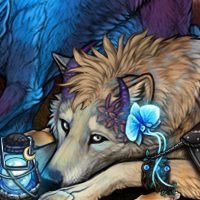 𝕷𝖚𝖓𝖆♡°-_»☾ |:| Wolvden