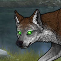 Twilight Forest |:| Wolvden